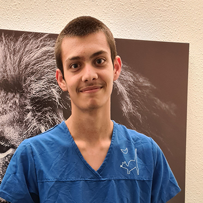 Entdecken Sie unsere Tierarztpraxis Au Chat Bleu in Biel